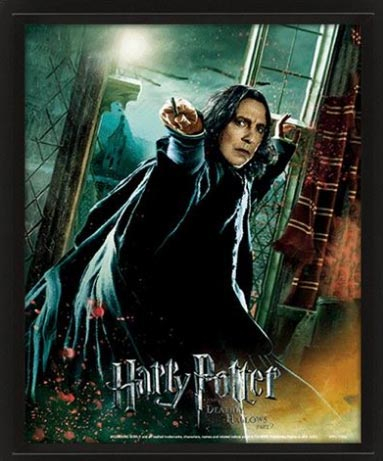 3D Harry Potter Severus Snape Poster EPPL71326